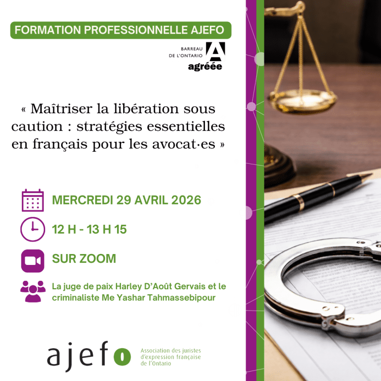 Formation professionnelle – Maîtriser la libération sous caution ...